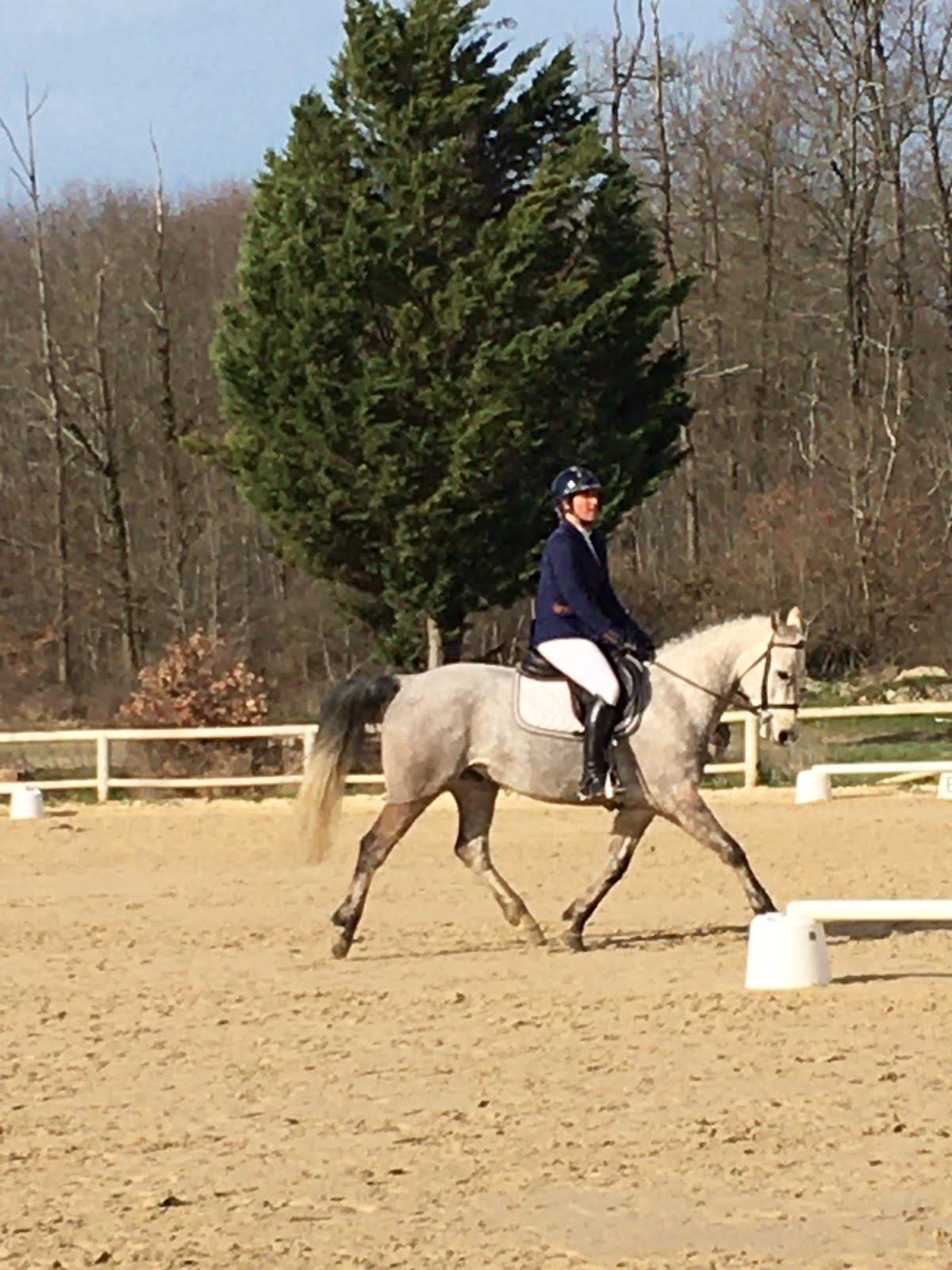 poney de sport cce cso