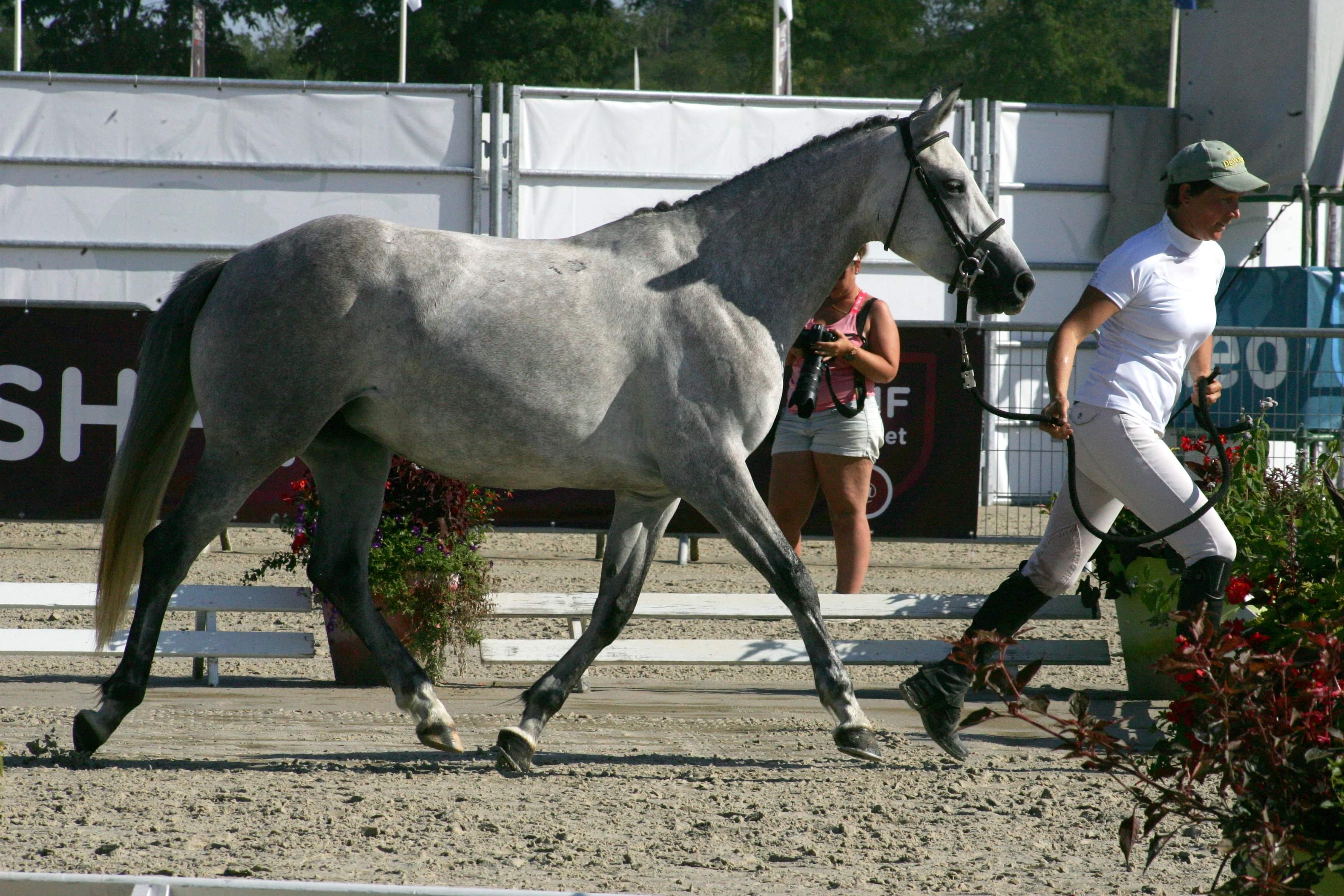 ponette PFS 4 ans en 2020