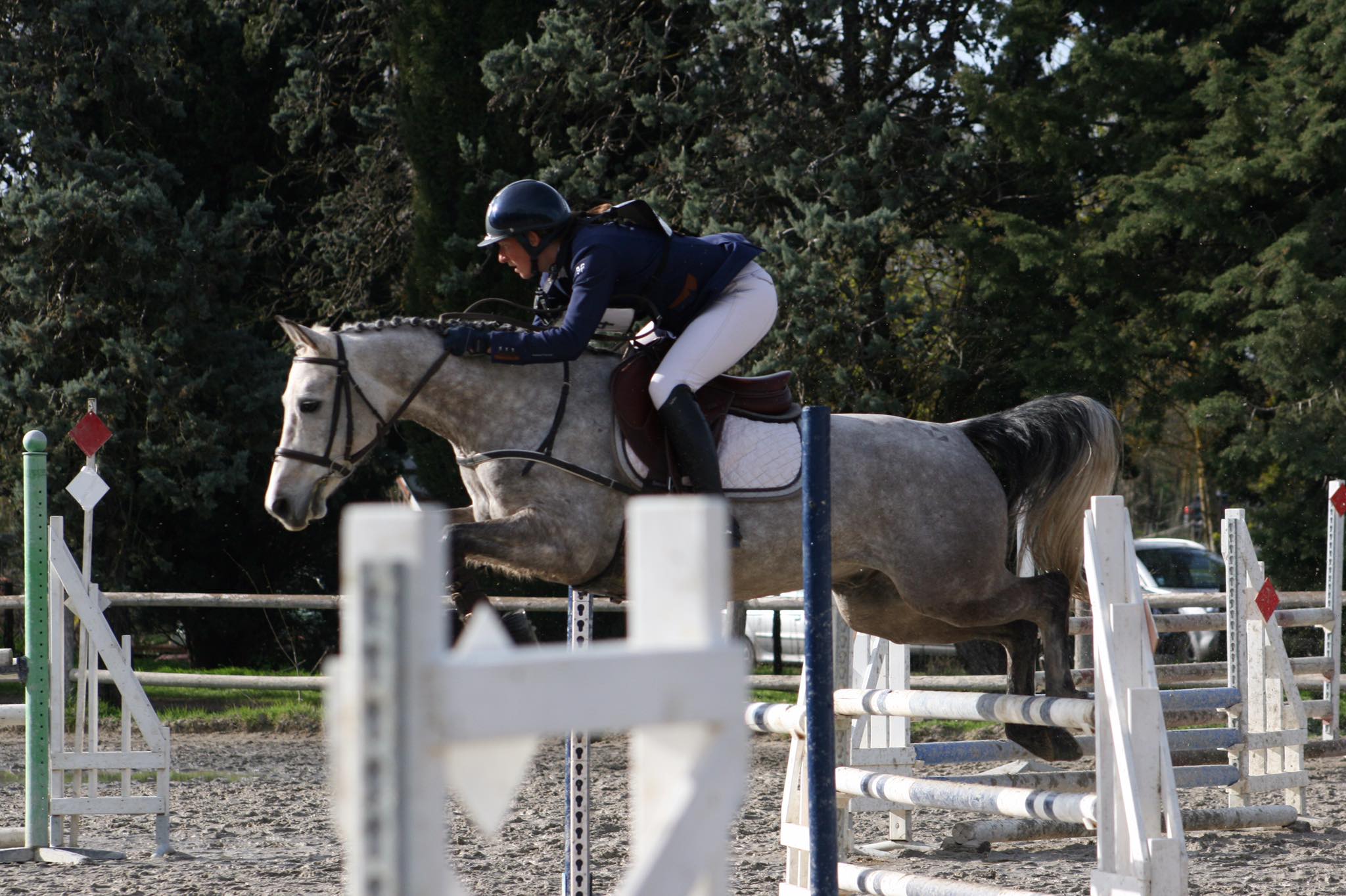 poney de sport cce cso